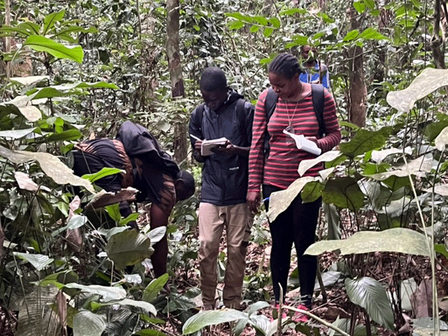 UNO Biology Professor Nicola Anthony Helps Train Conservation ...